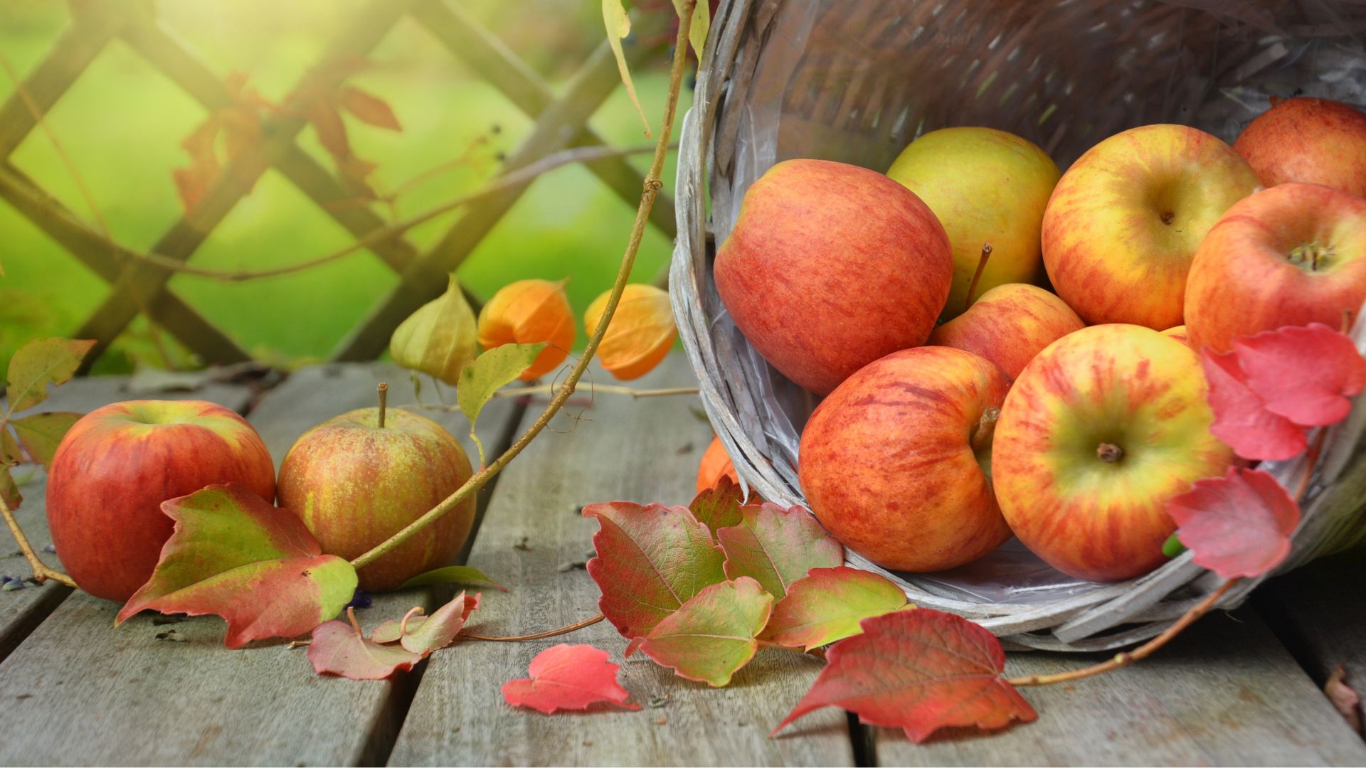 11 Best Fruits for Muscle Gain