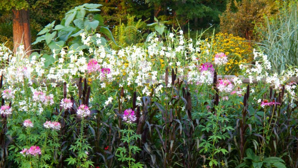 7 Best Perennials to Plant Around Trees