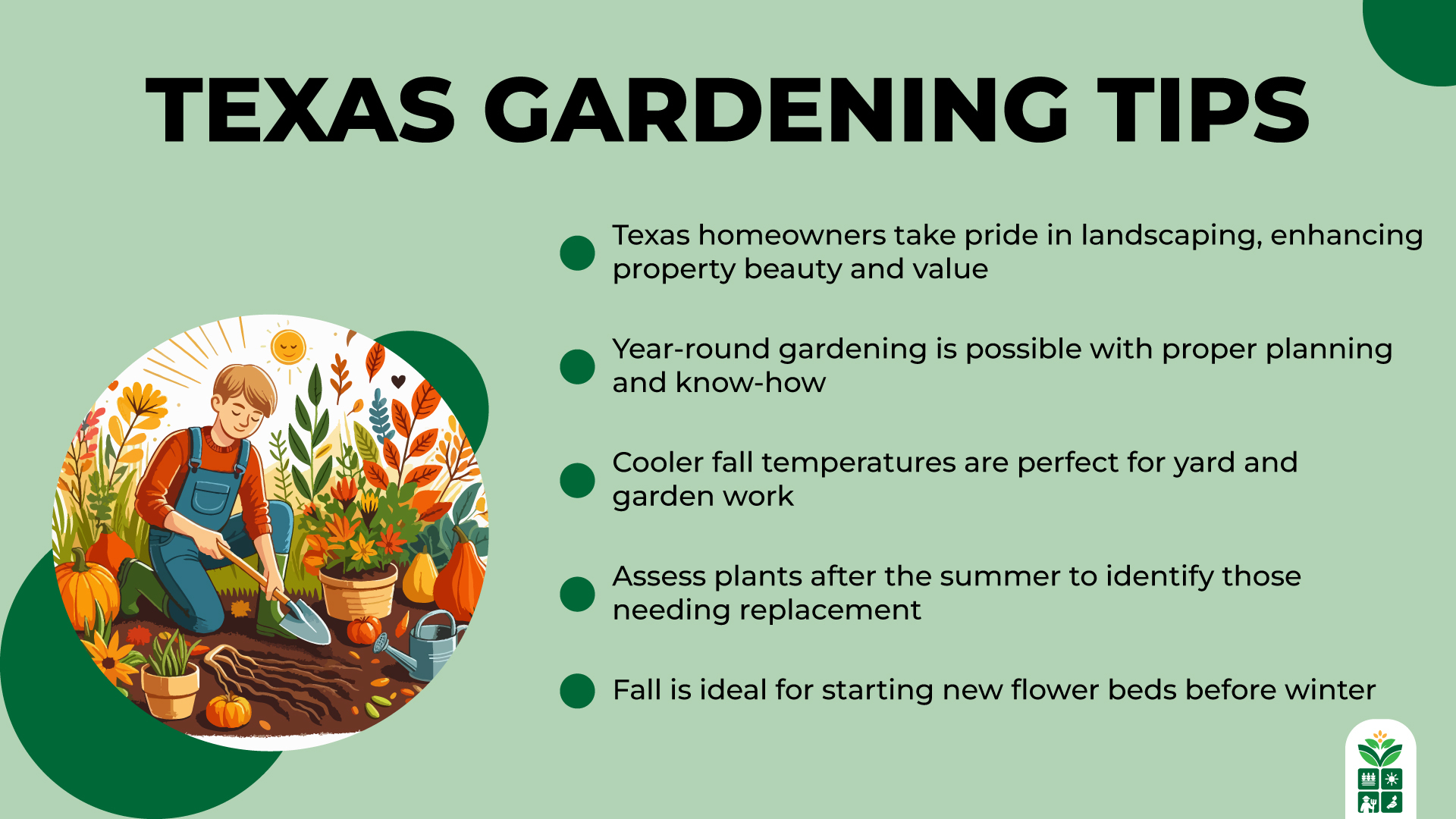 7 Best Fall Flowers to Plant in Texas