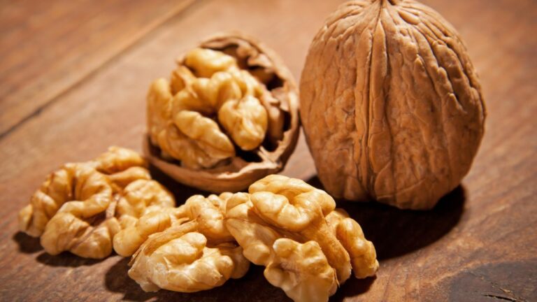 7 Best Nuts for Proteins