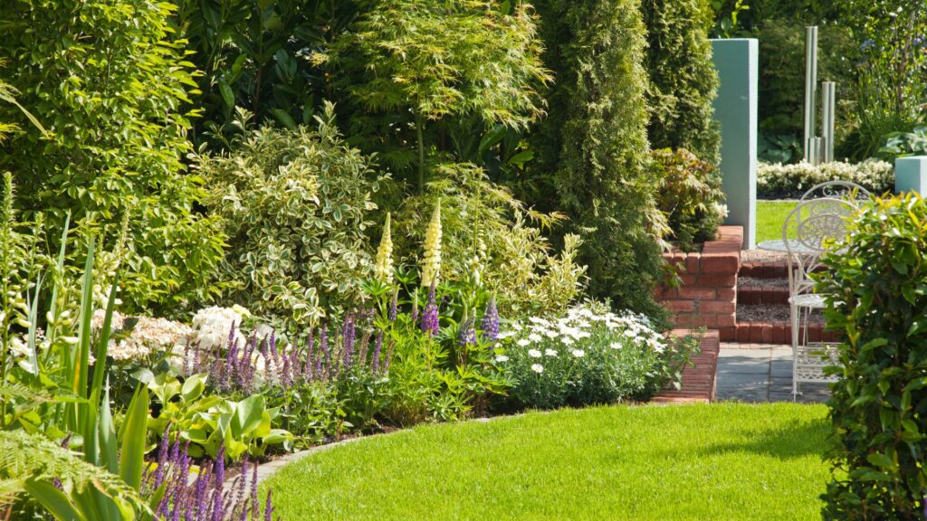 9 Best Native Plants for Beautiful Landscaping