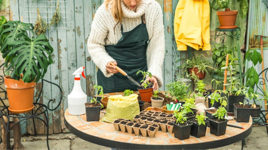 10 Best Plants for Small Gardens