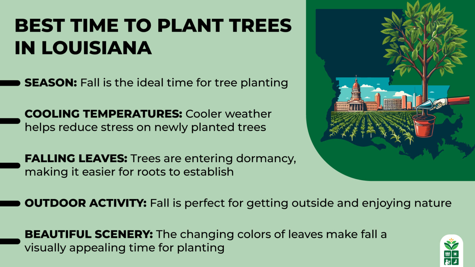 7 Best Trees to Plant in Louisiana