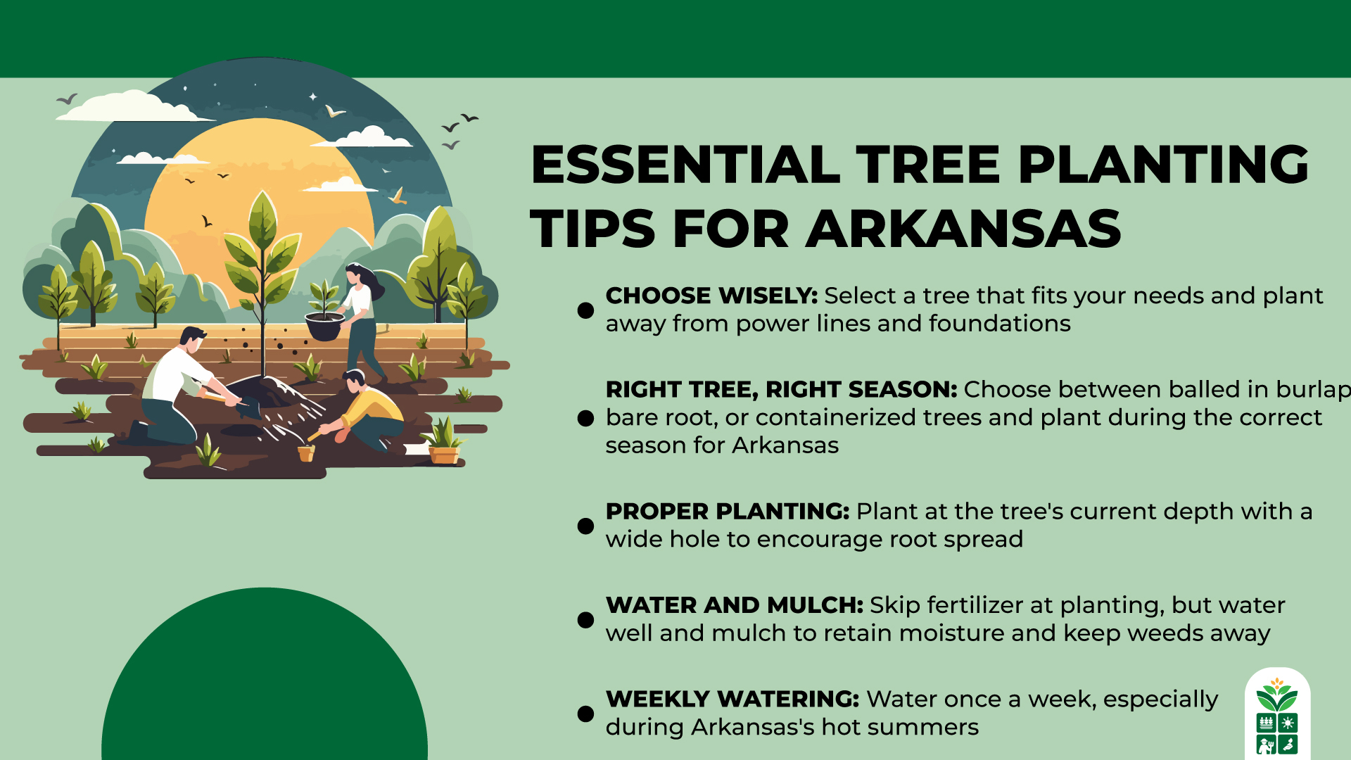 7 Best Trees to Plant in Arkansas