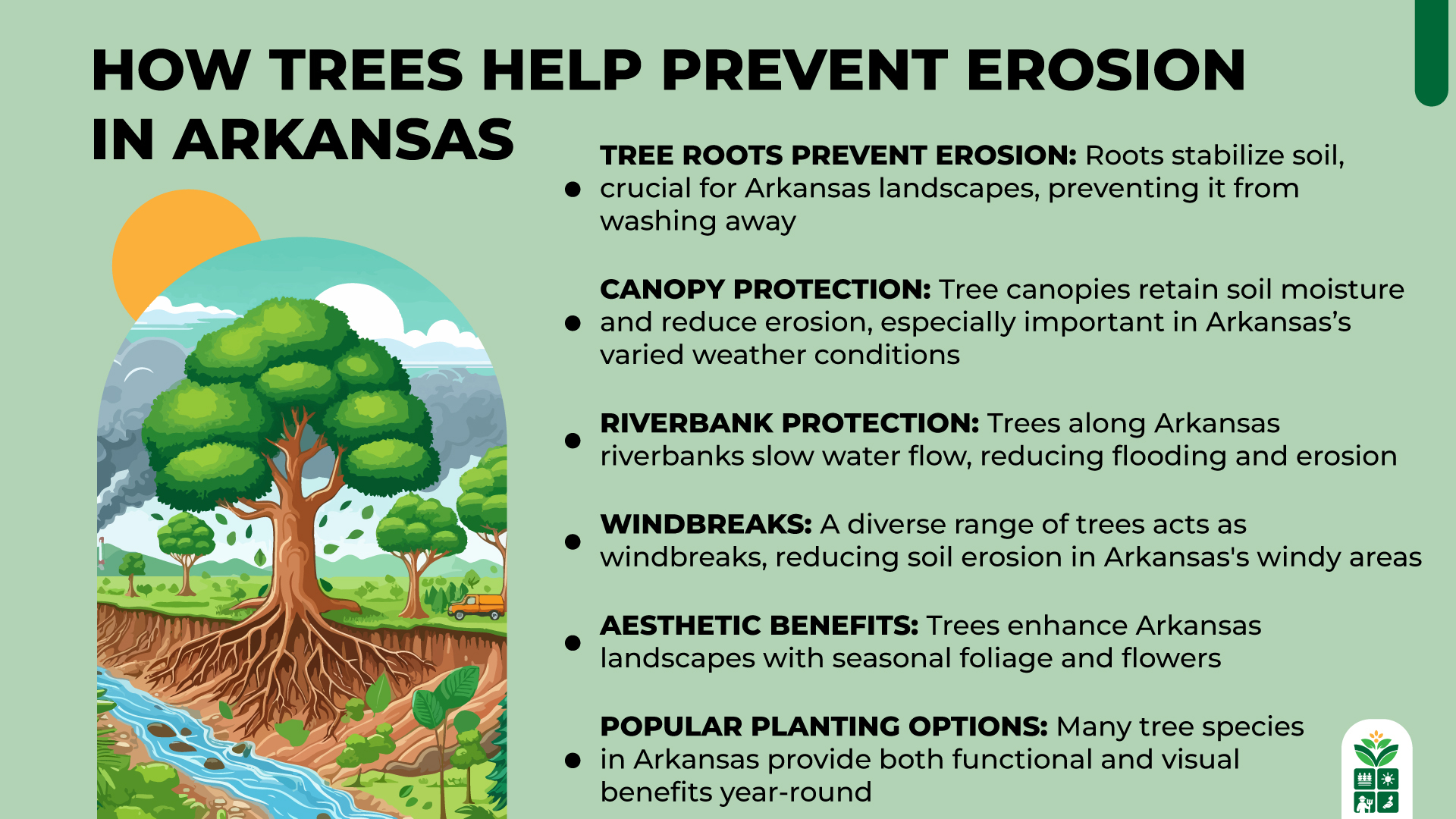 7 Best Trees to Plant in Arkansas