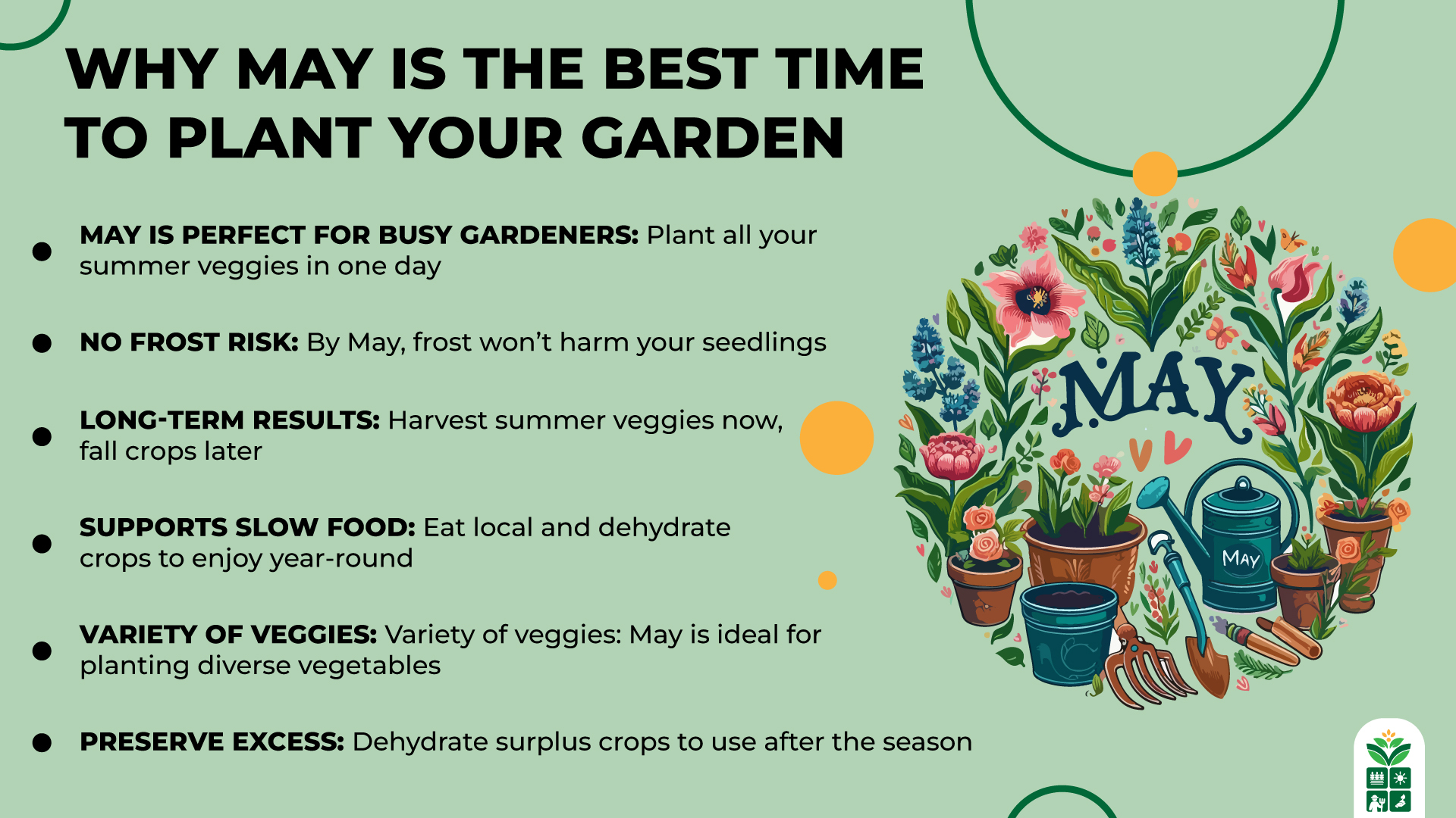 10 Best Plants to Plant in May