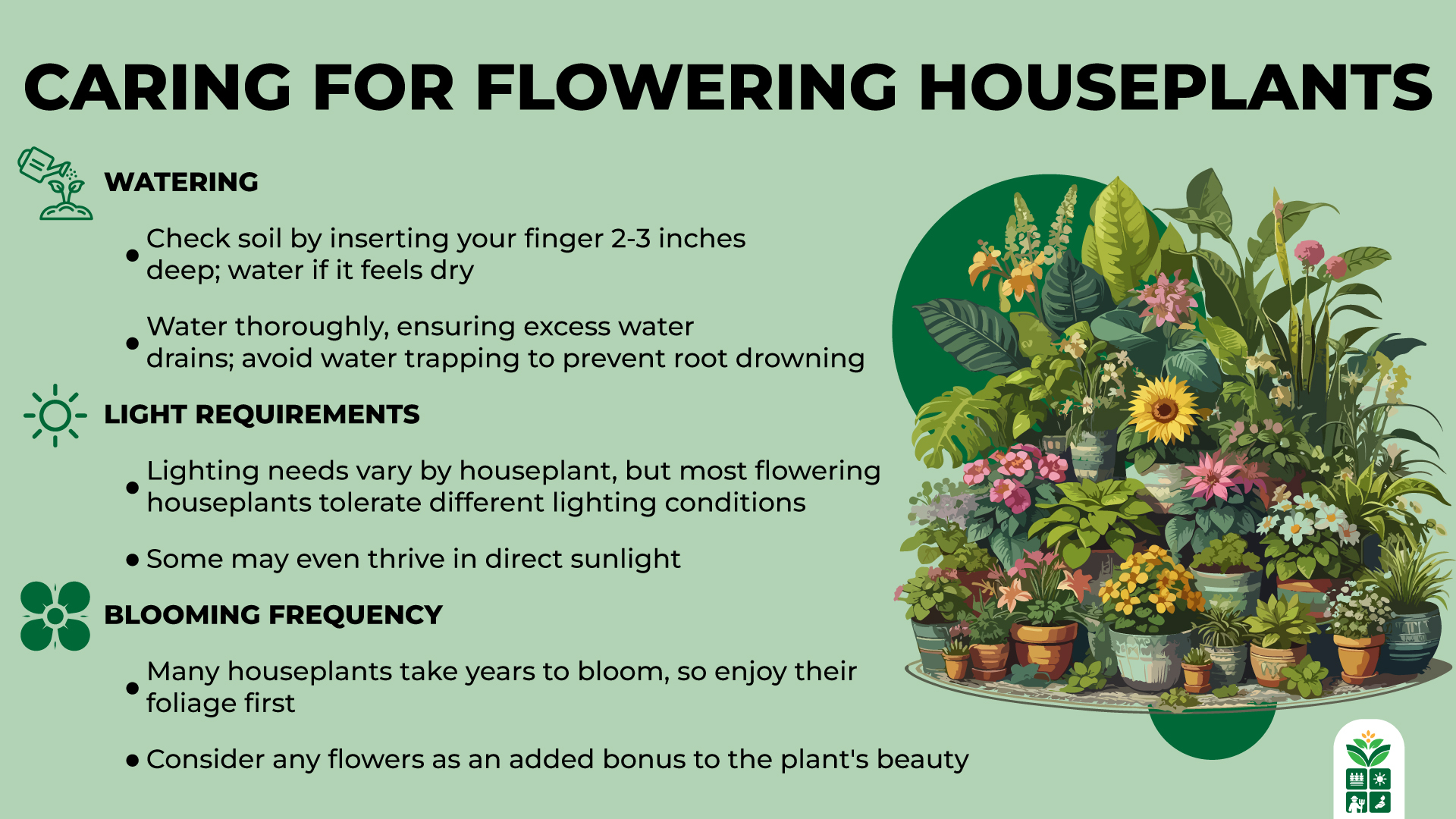 7 Best Flowering Houseplants to Brighten Your Indoor Garden