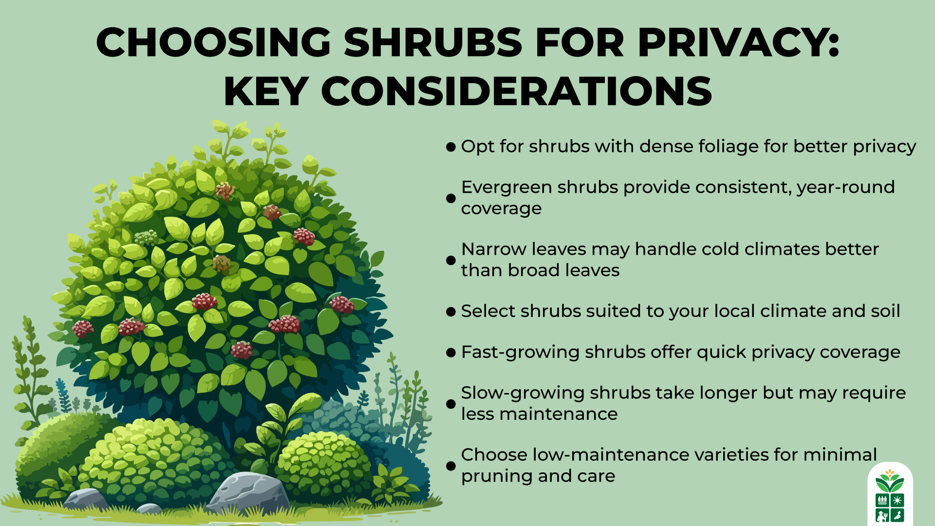 9 Best Plants for Privacy Screens