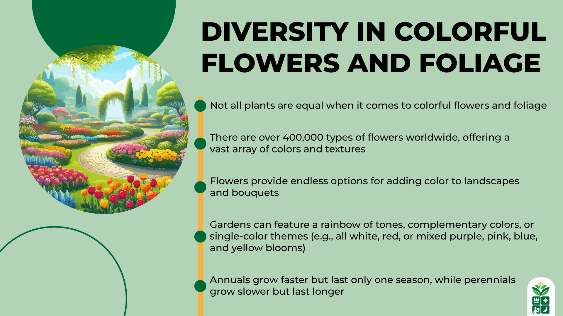 7 Most Colorful Flowers in the World