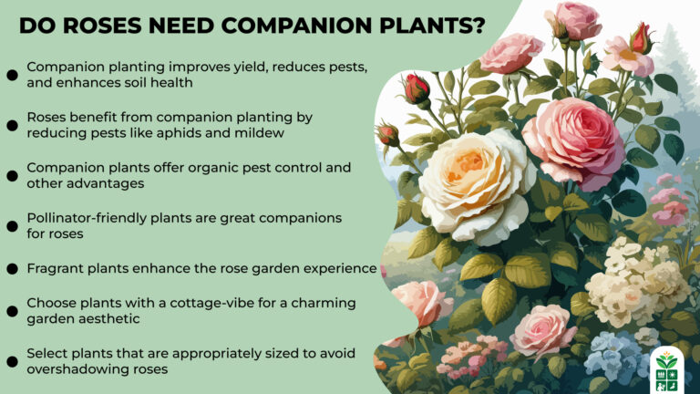 7 Best Companion Plants for Roses