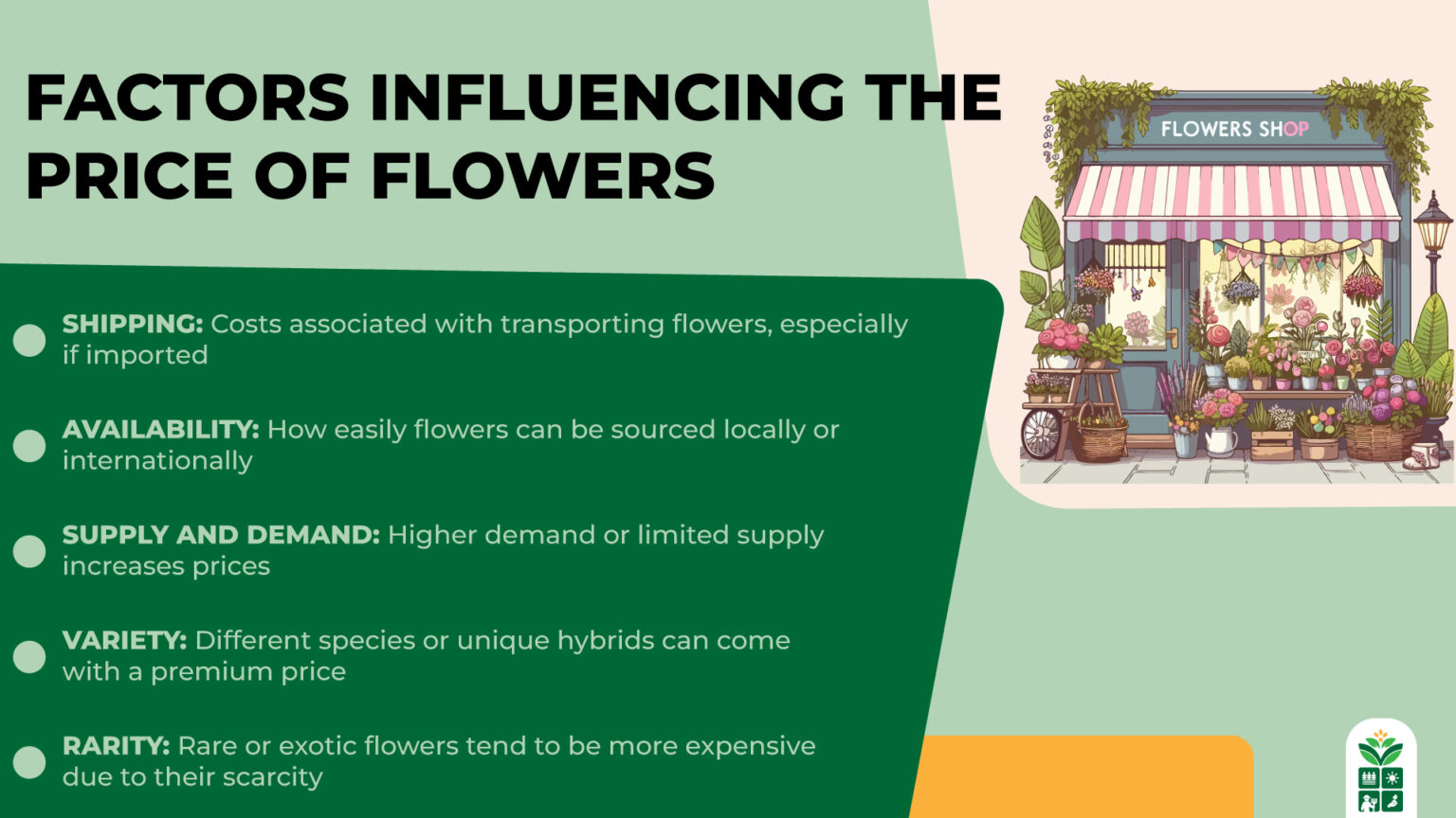 Discover the 7 Most Expensive Flowers in the World