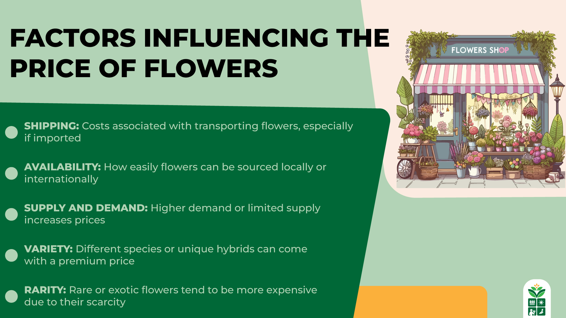 Discover the 7 Most Expensive Flowers in the World