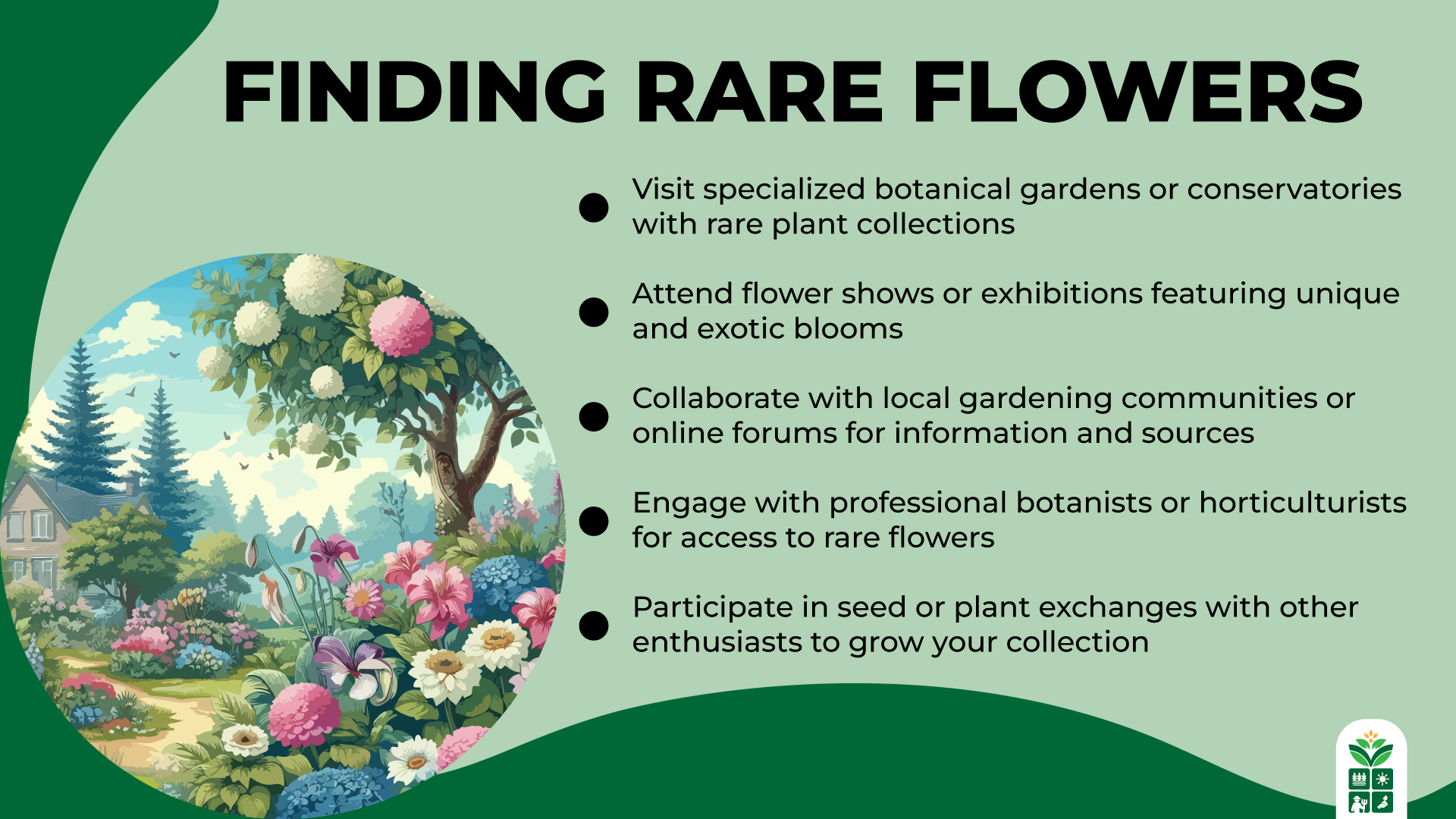 9 Rare Flowers in the World That Are Beautiful Too!