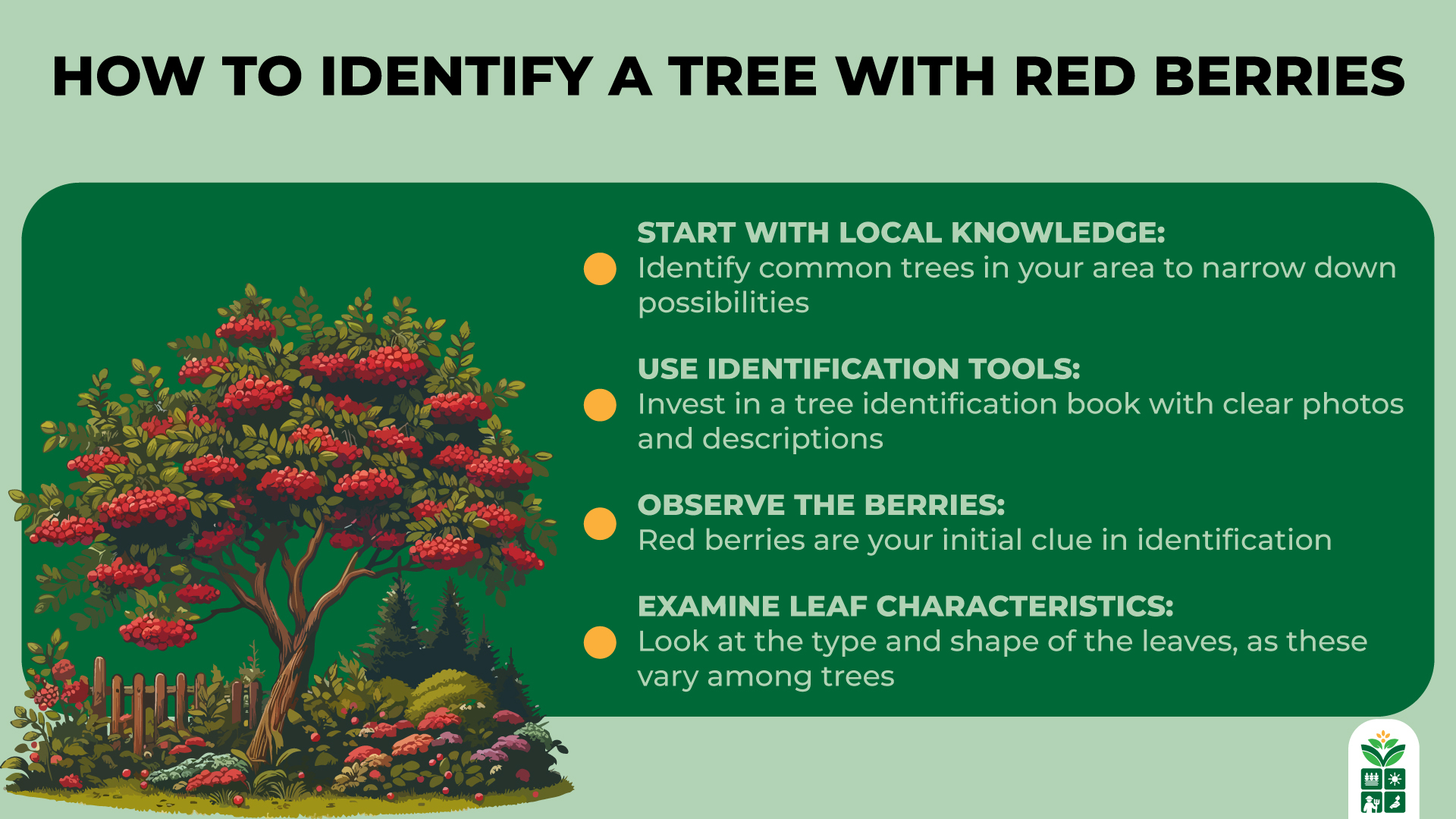 7 Trees with Red Berries in Fall