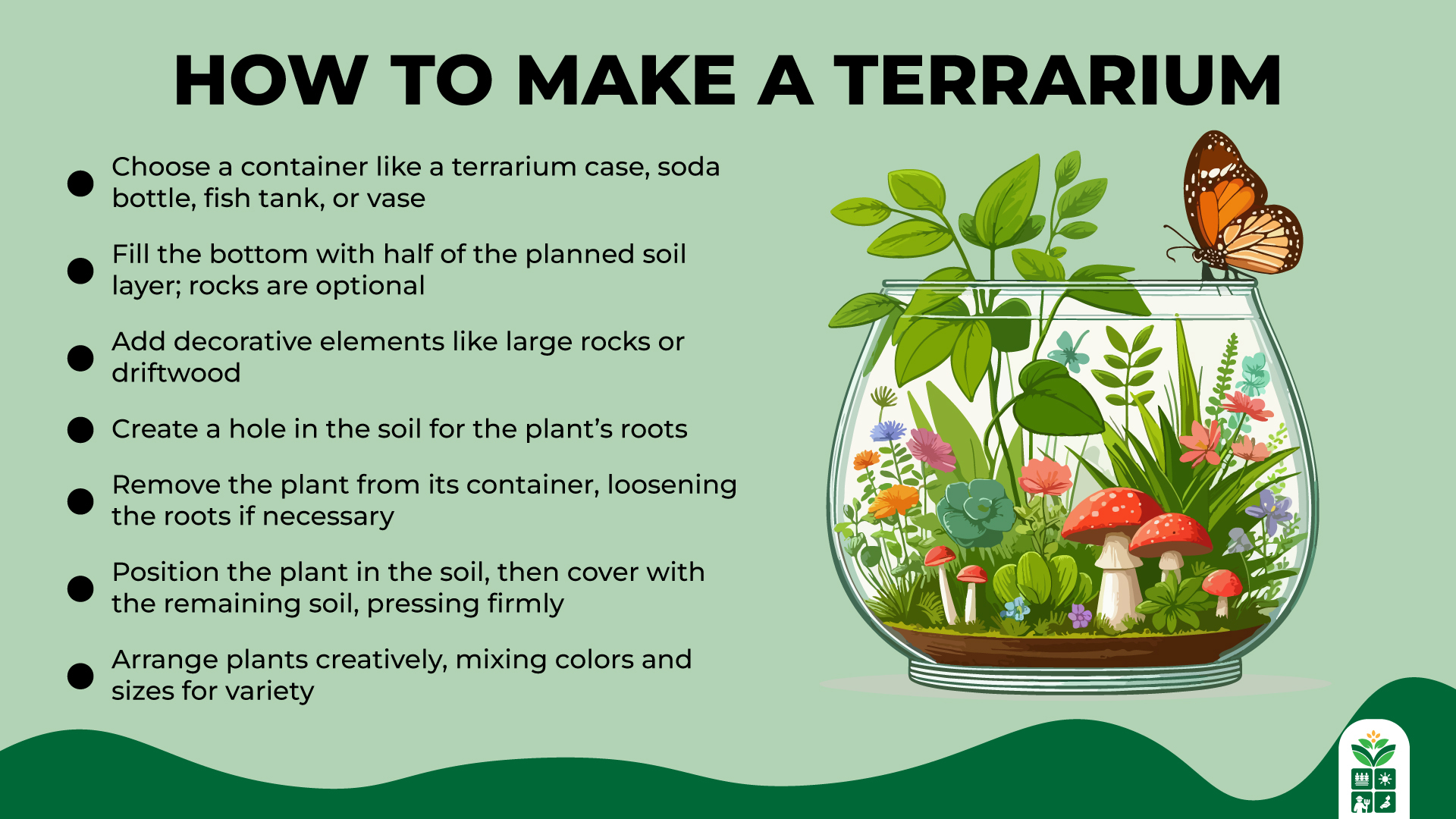 10 Best Plants to Grow in Your Terrariums