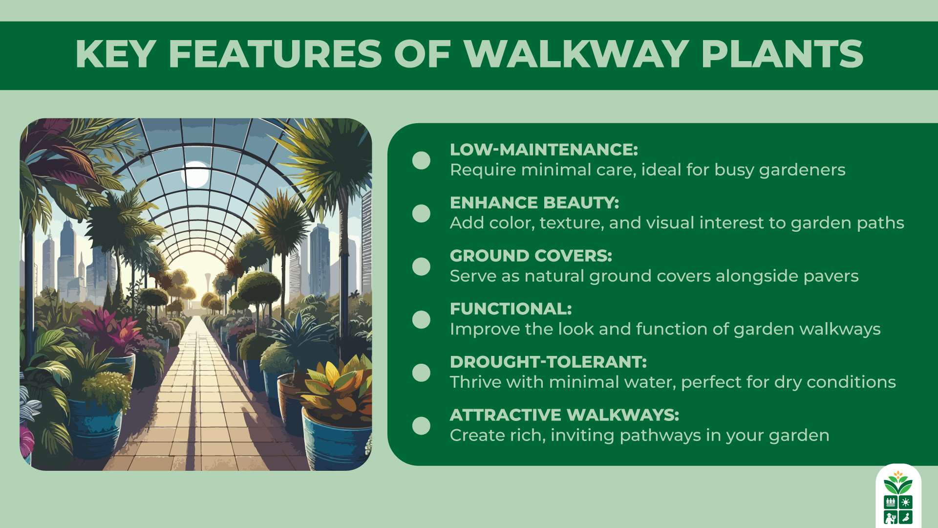 7 Best Plants for Walkway Borders