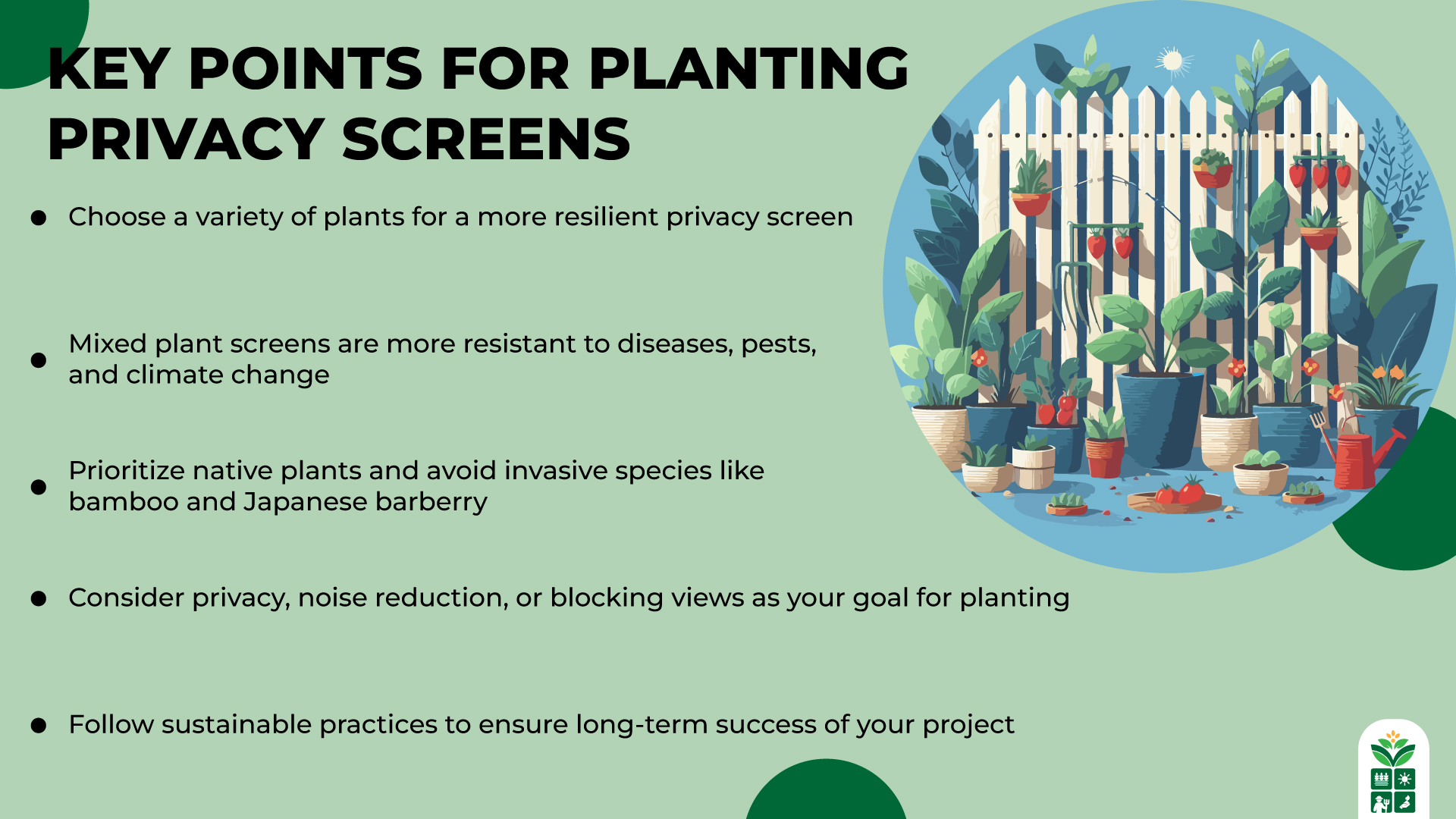 7 Best Plants for Beautiful Privacy Fence