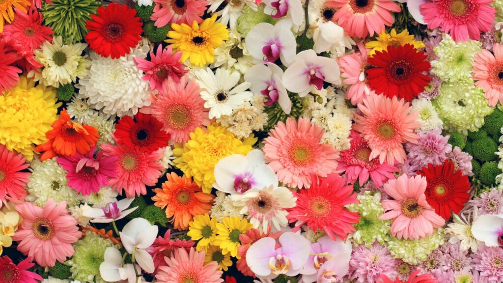 Discover the 7 Most Expensive Flowers in the World