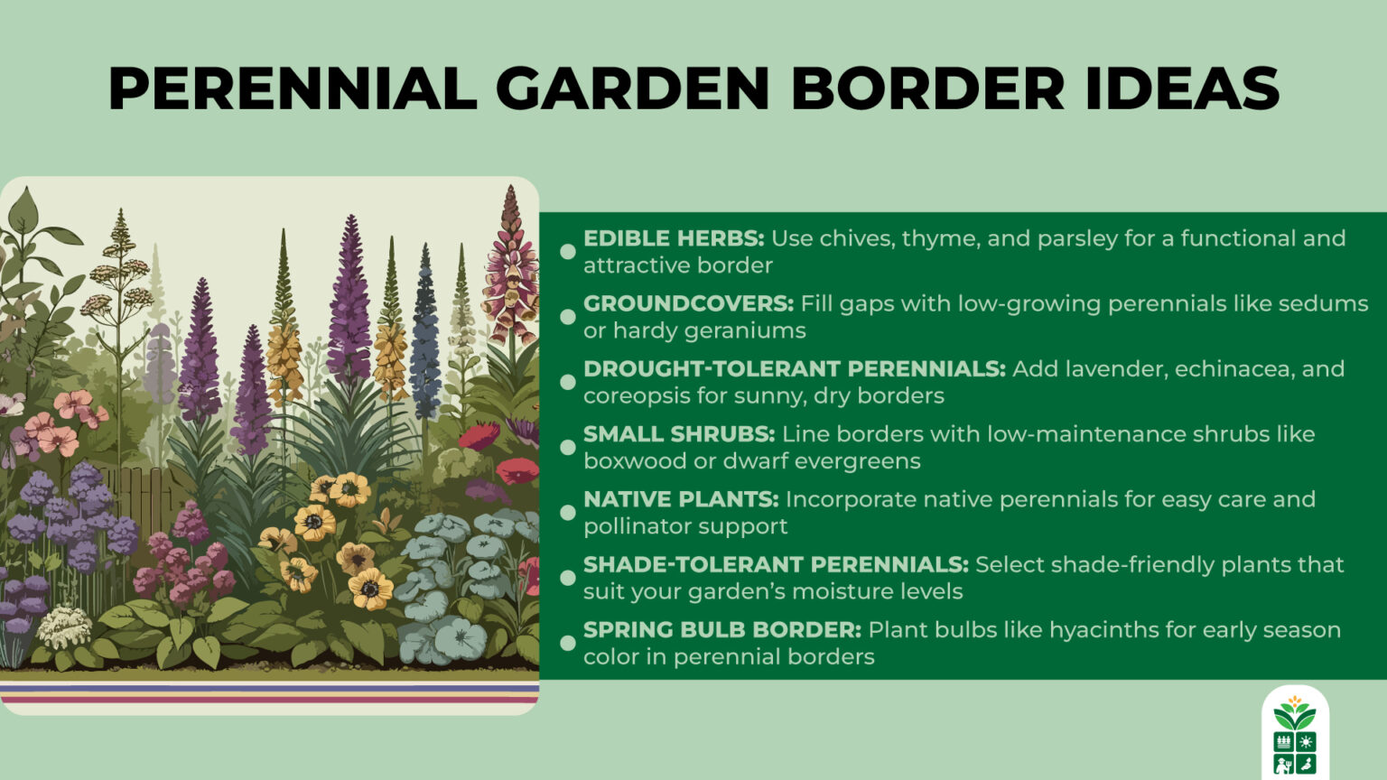 7 Best Perennials for Borders