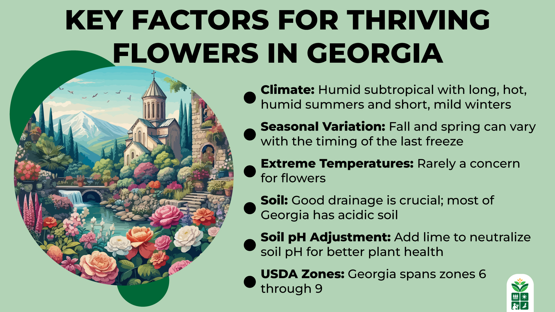 9 Best Fall Flowers to Plant in Georgia