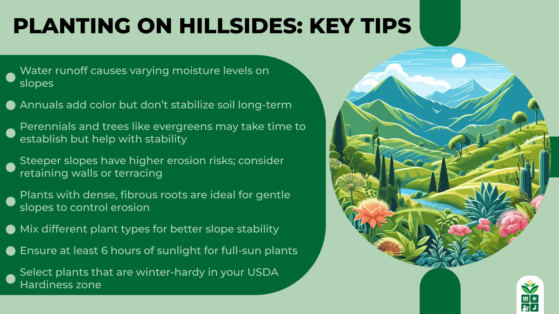 7 Best Plants for Hillside