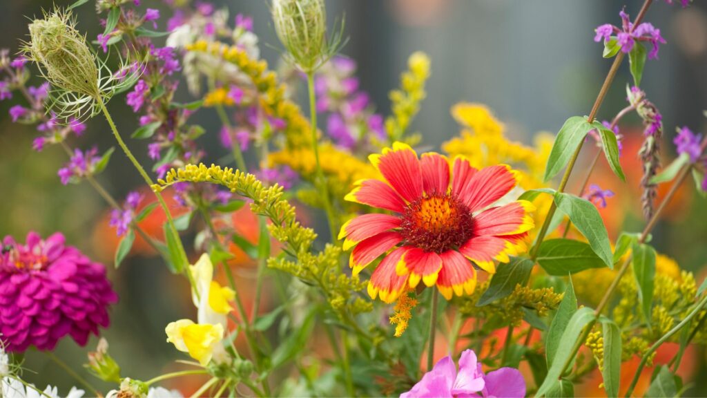 7 Best Plants That Grows in Summer