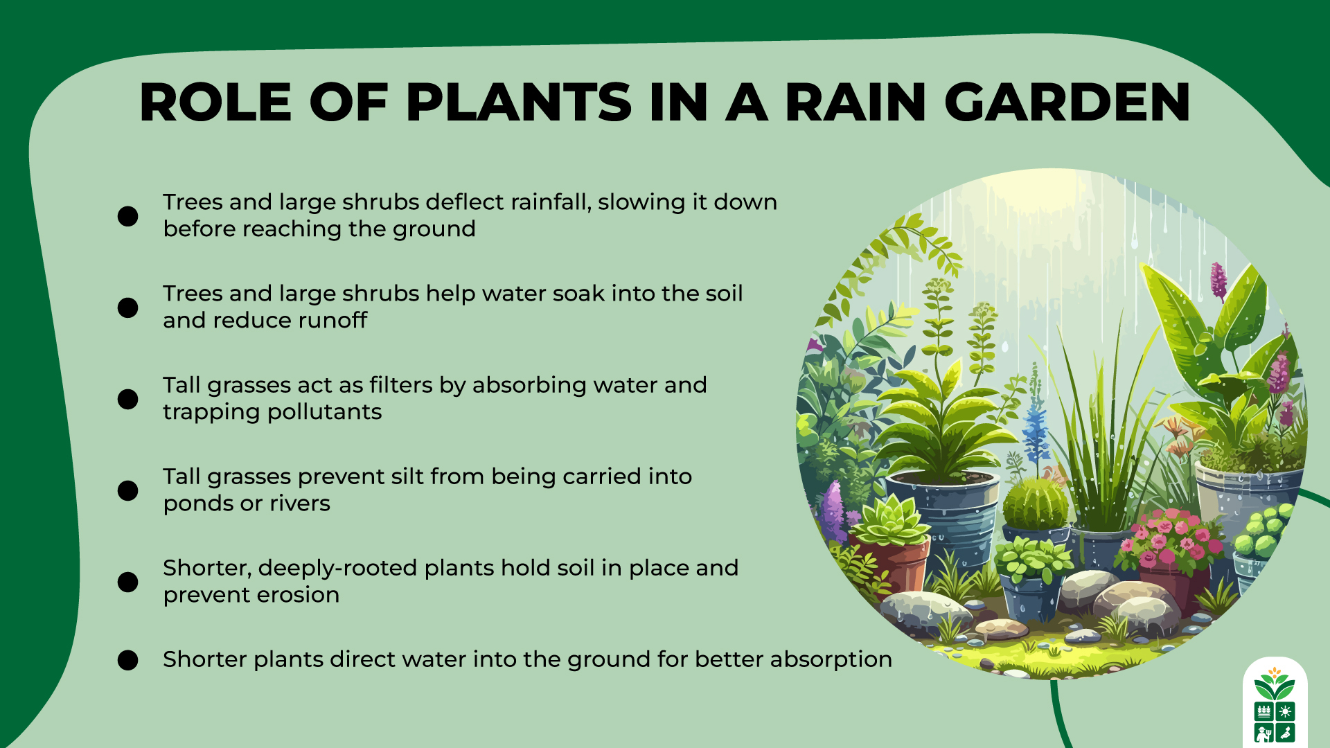 10 Best Plants for Rain Garden