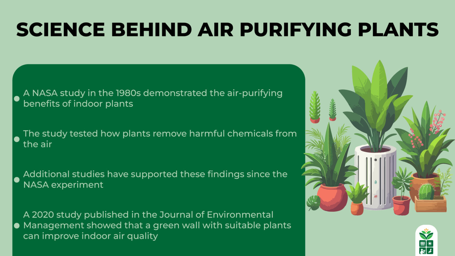 10 Best Plants for Indoor Air Quality | GreenStories