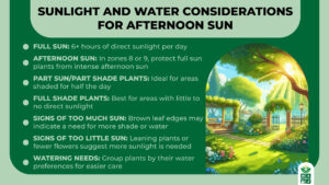 10 Best Perennials for Afternoon Sun