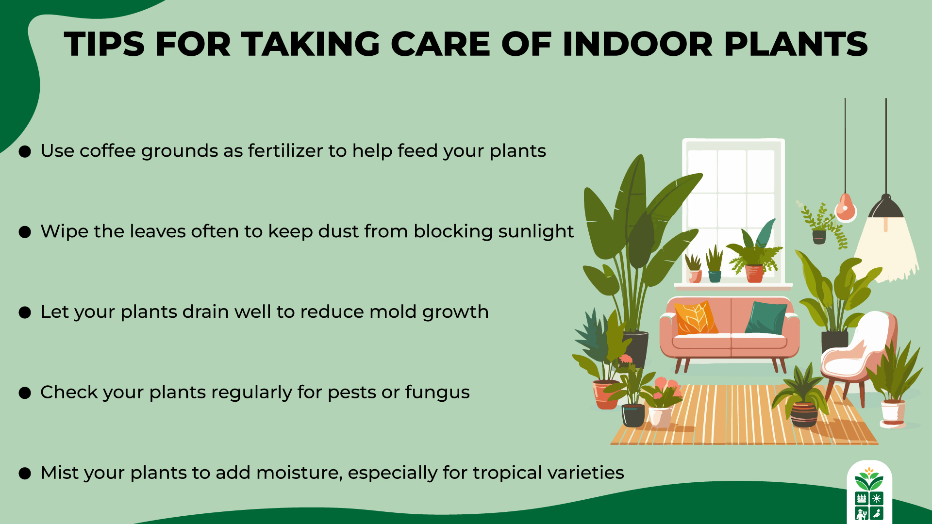 10 Best Plants for Indoor Air Quality | GreenStories