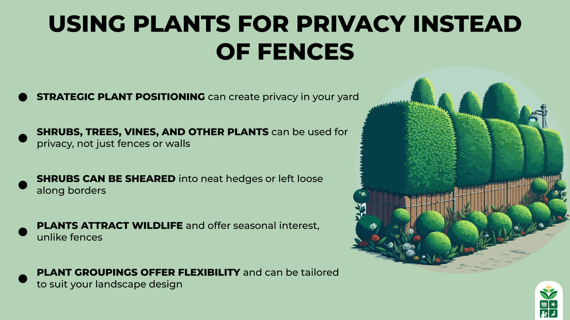 9 Best Plants for Privacy Screens