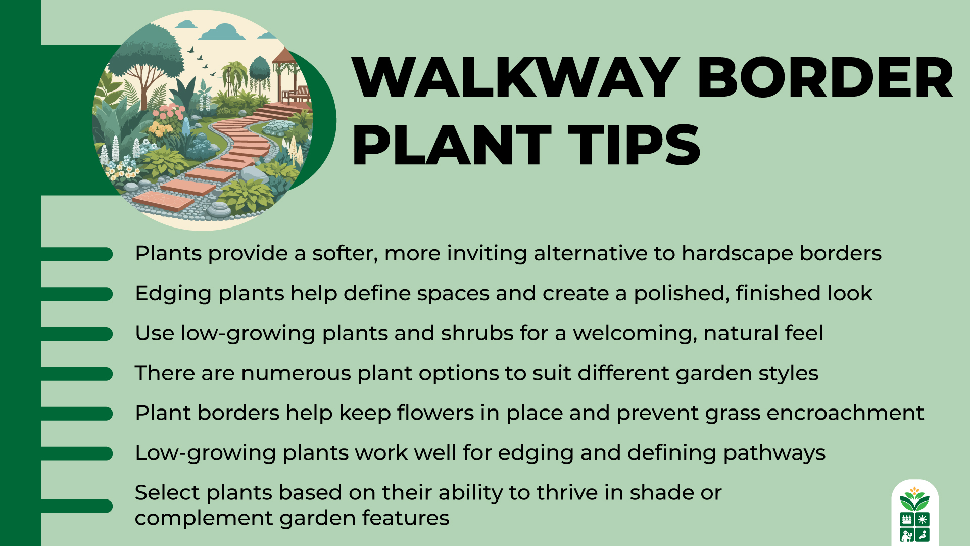 7 Best Plants for Walkway Borders
