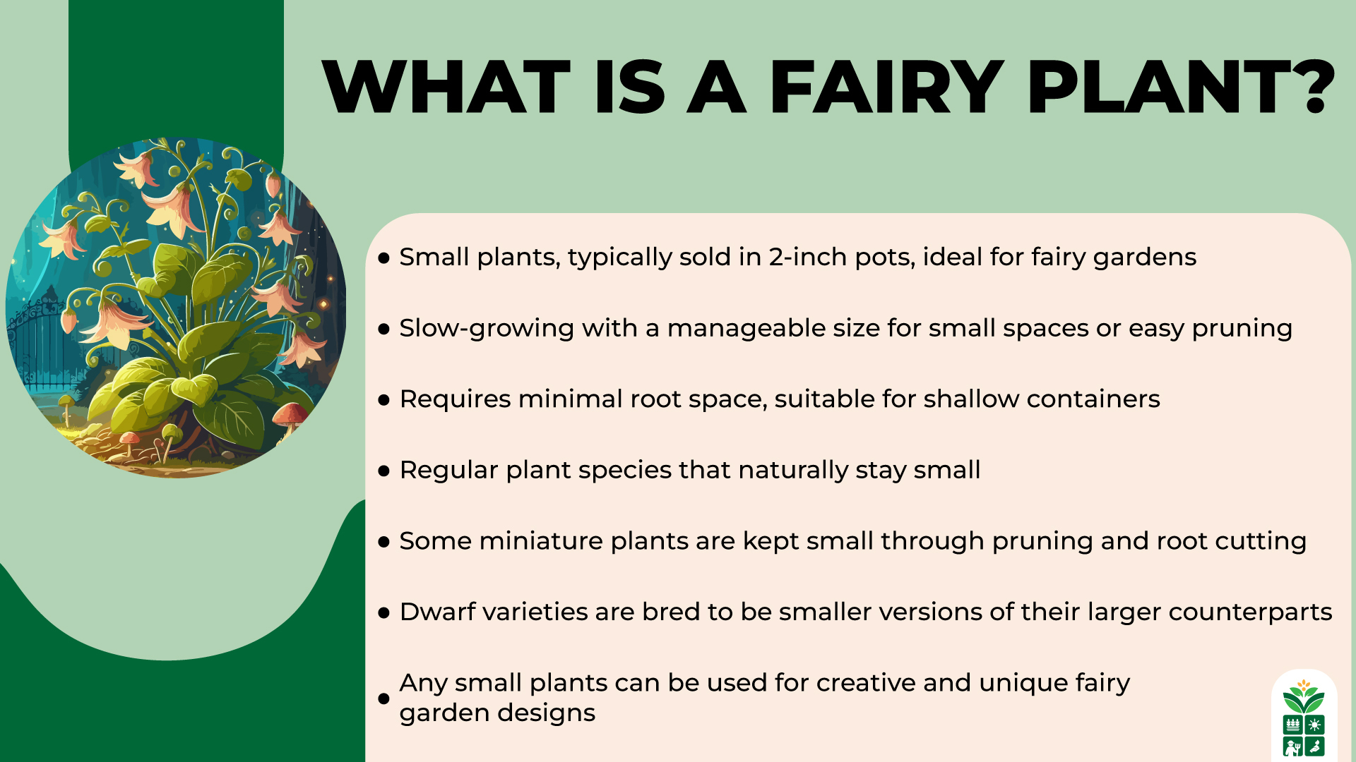 7 Best Plants for Fairy Gardens