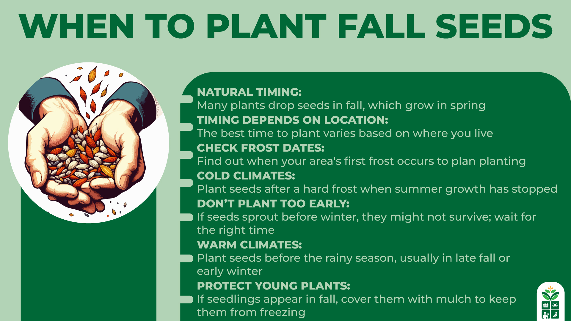 10 Best Fall Seeds to Plant in Fall Garden