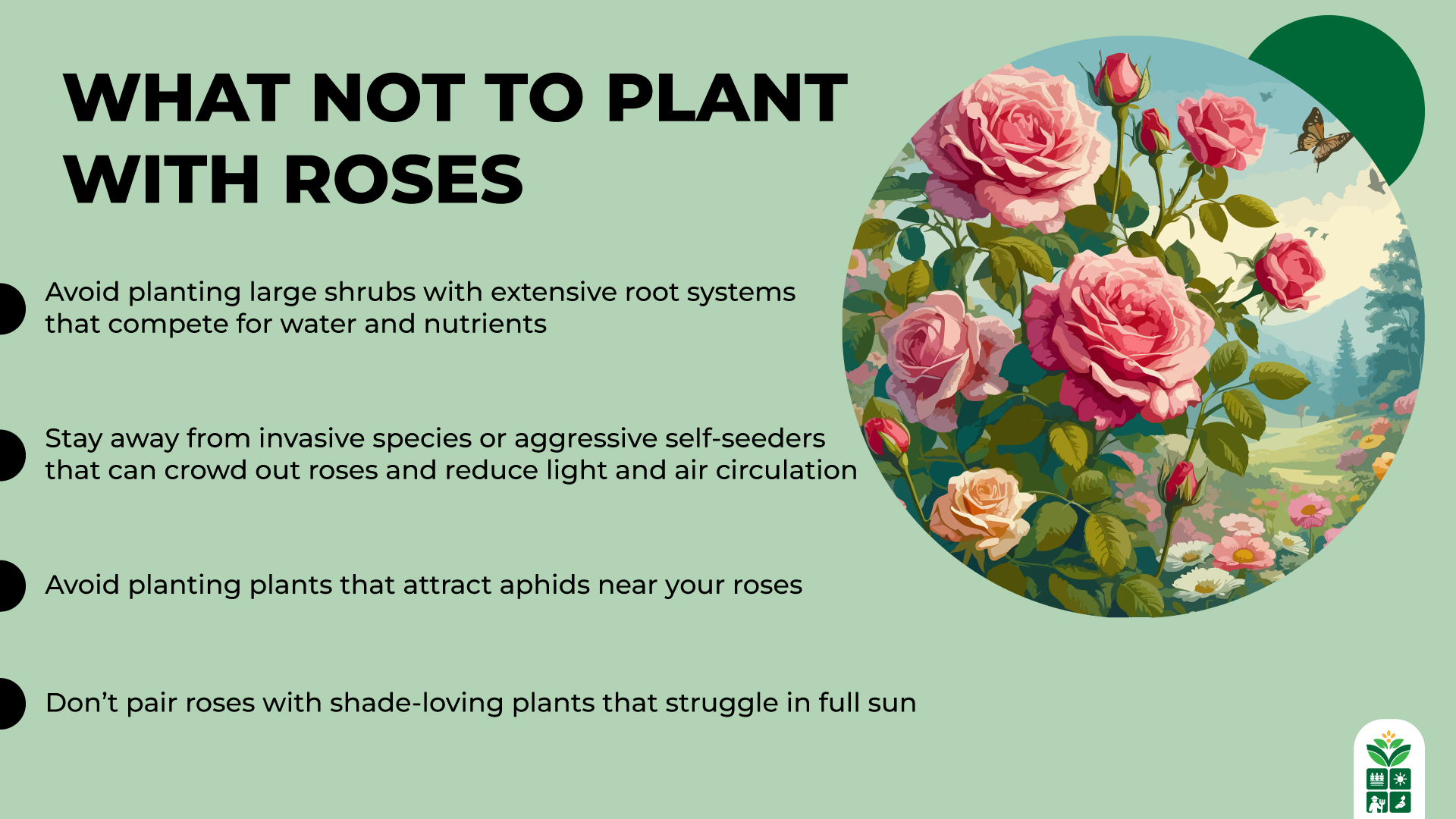 10 Best Perennials That Thrive Alongside Roses