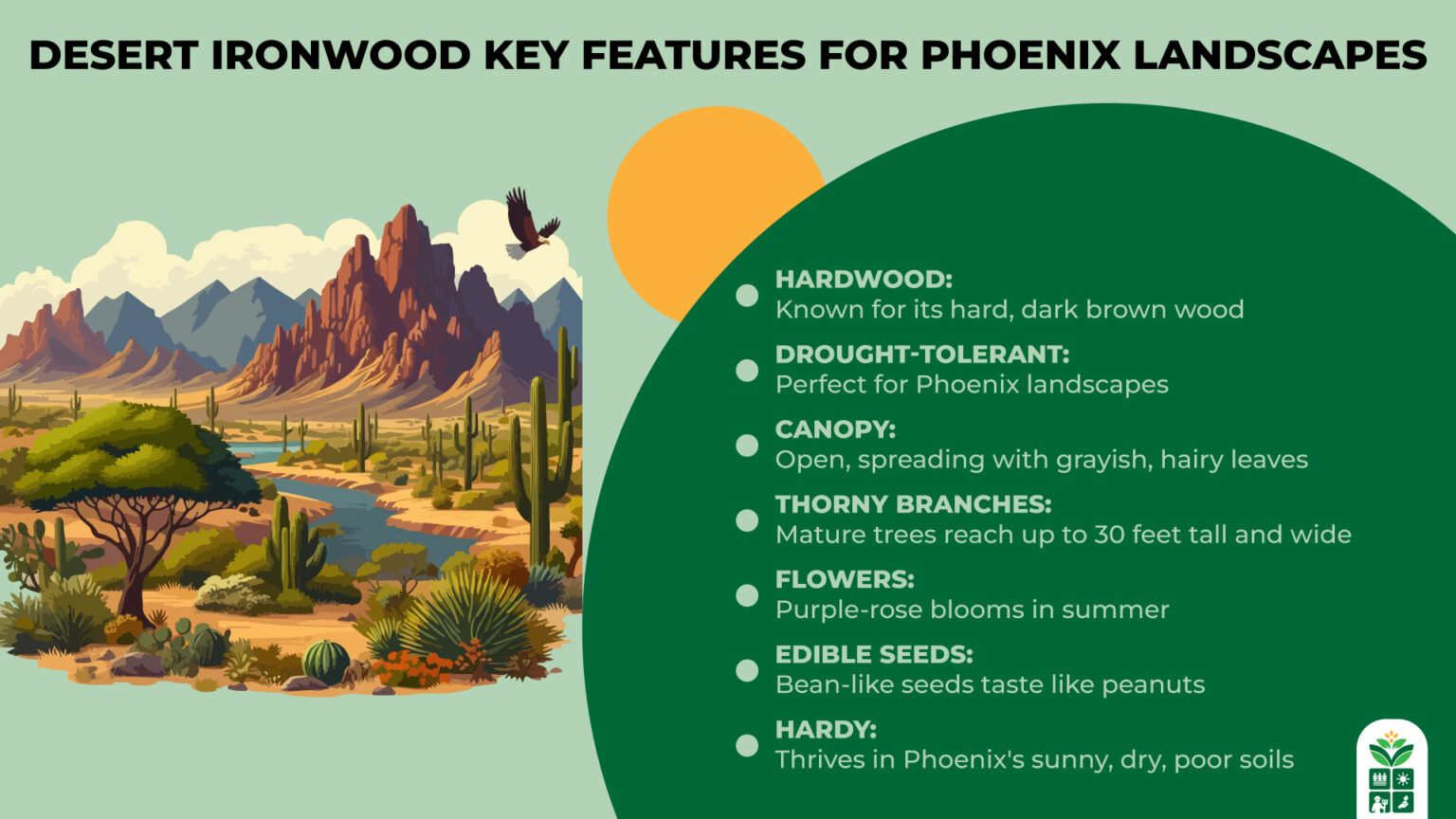 9 Best Trees to Plant in Phoenix