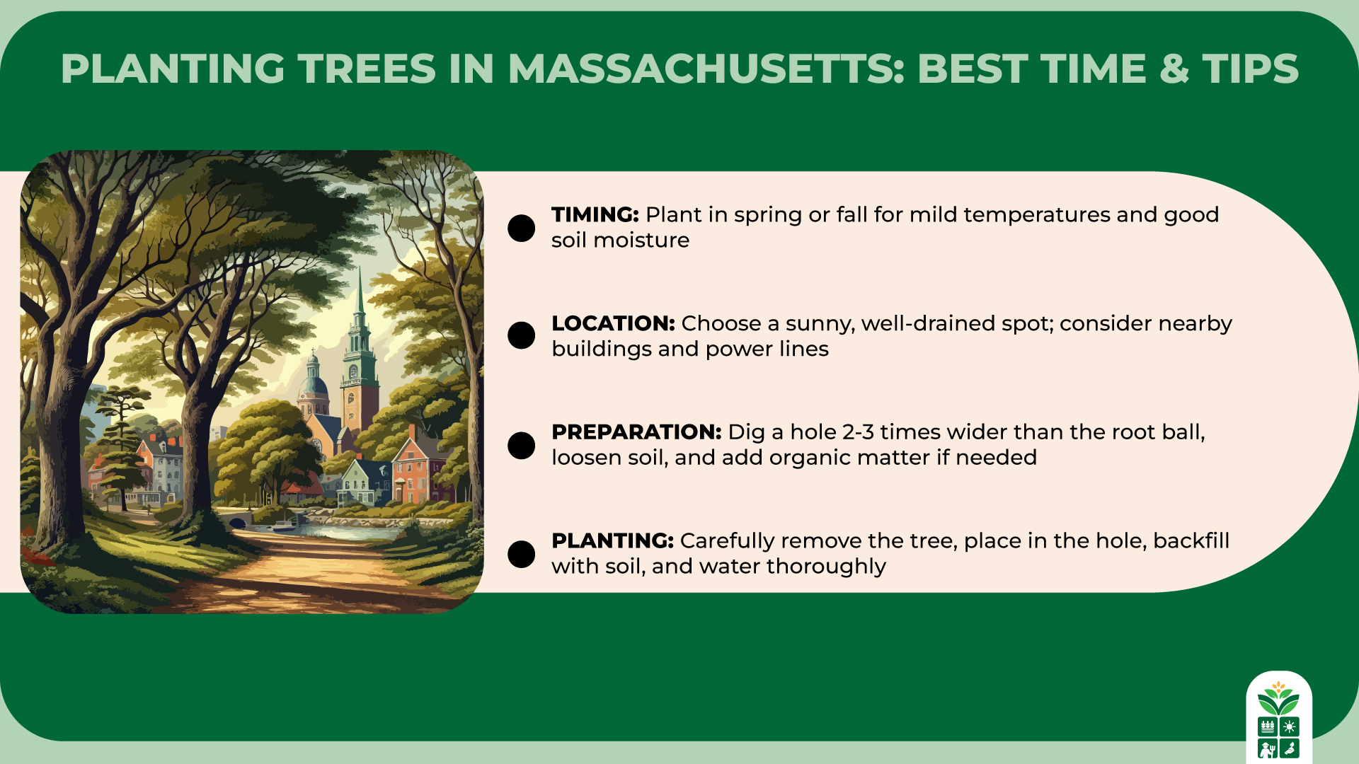 9 Best Trees to Plant in Massachusetts
