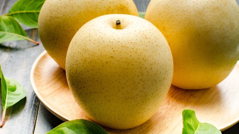 10 Types of Pears: Sweet, Juicy, and Perfect for Every Meal