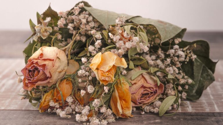 9 Dried Flowers for Stunning, Long-Lasting Decor