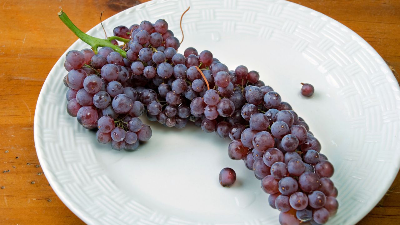 Exploring the 10 Different Types of Grapes