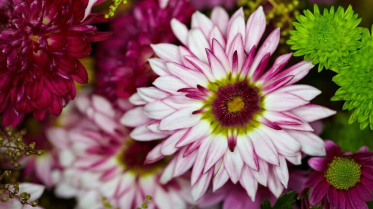 10 Flowers for Men That Are Stylish and Thoughtful