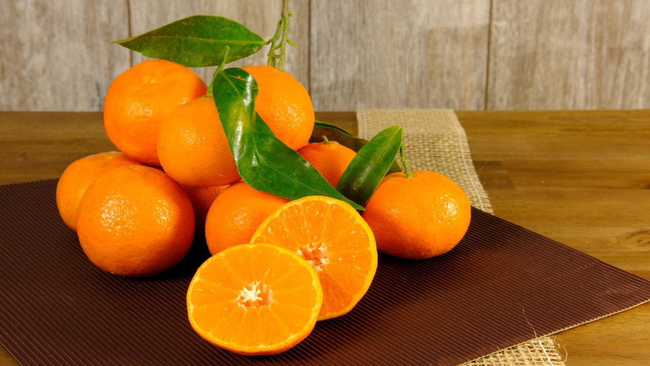 9 Types of Oranges and Most Popular Varieties
