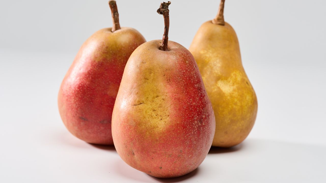 10 Types of Pears: Sweet, Juicy, and Perfect for Every Meal