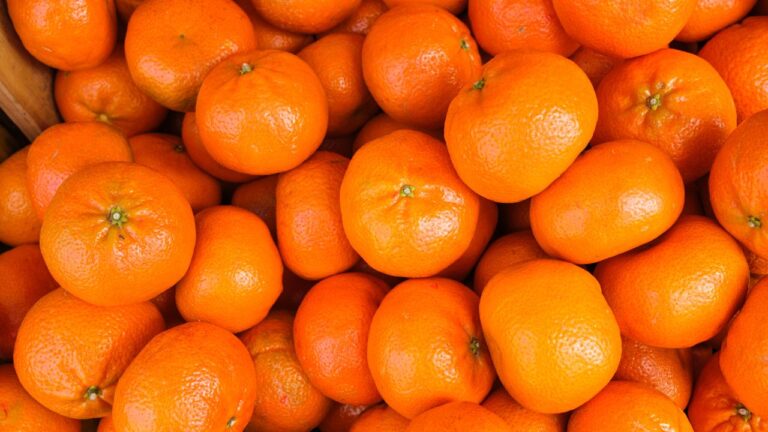 9 Types of Oranges and Most Popular Varieties