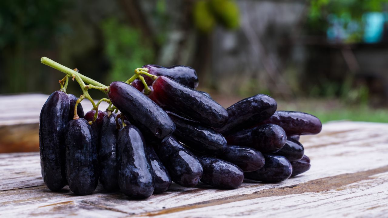 Exploring the 10 Different Types of Grapes