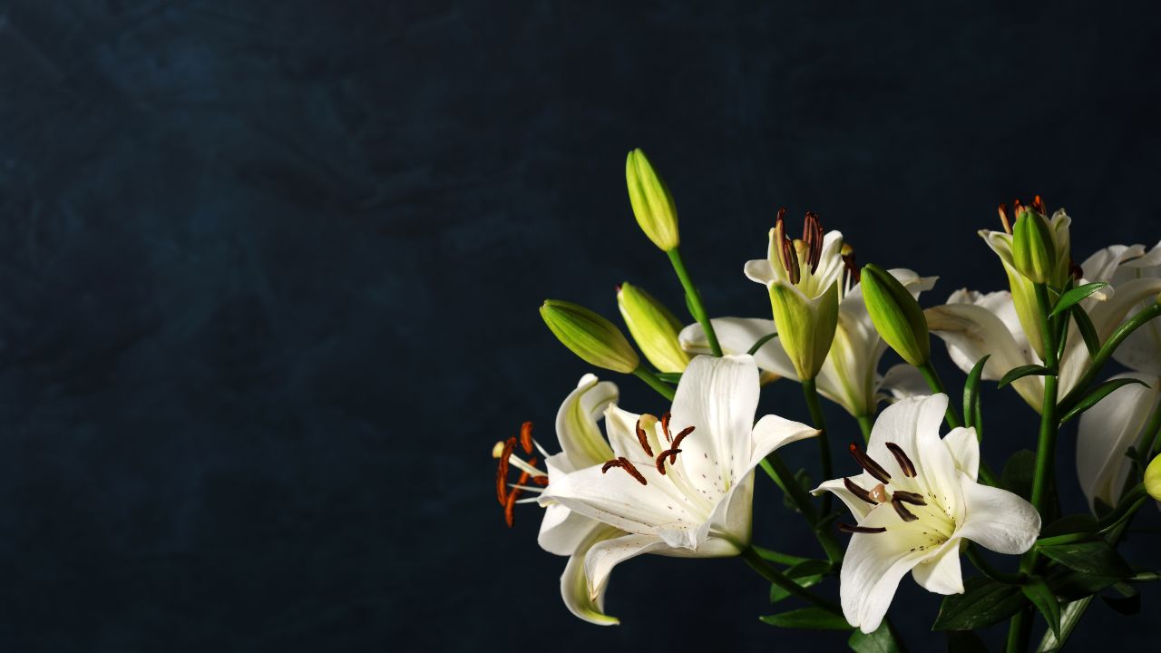 10 Flowers for Men That Are Stylish and Thoughtful