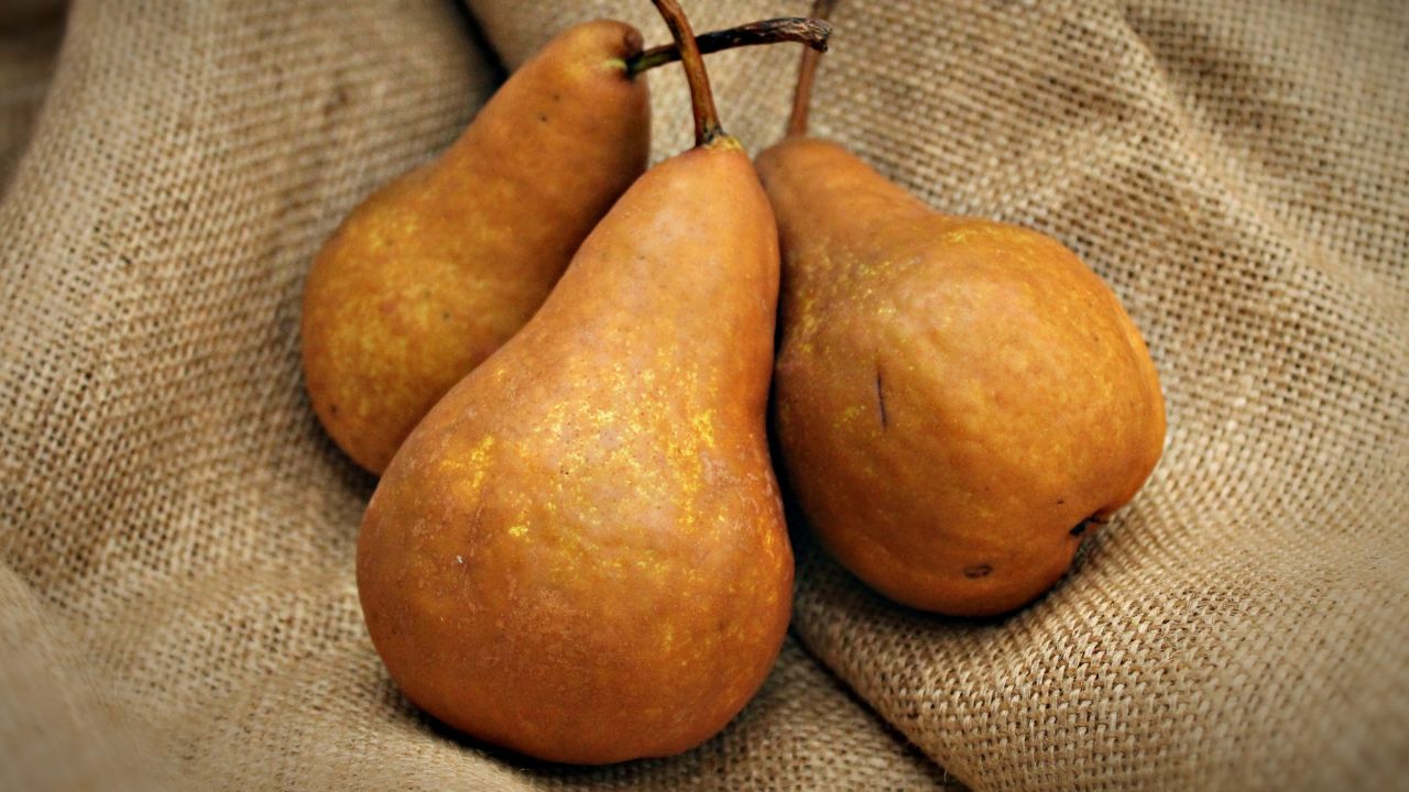 10 Types of Pears: Sweet, Juicy, and Perfect for Every Meal