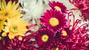 10 Flowers for Men That Are Stylish and Thoughtful