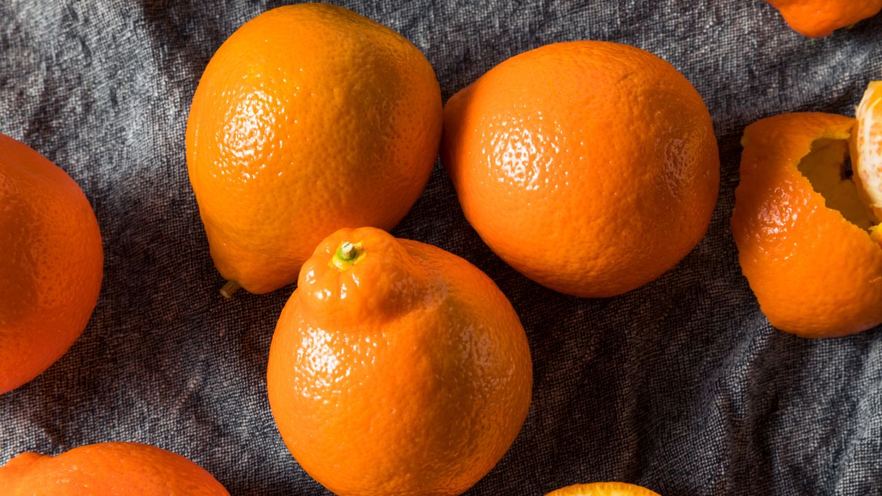 9 Types of Oranges and Most Popular Varieties