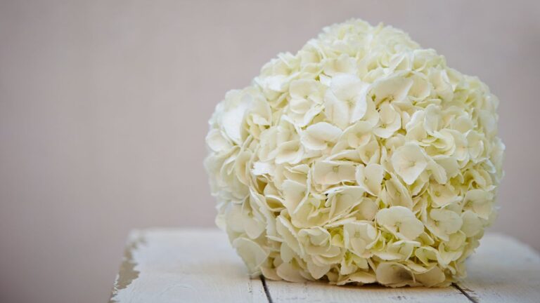 10 Flowers for Men That Are Stylish and Thoughtful